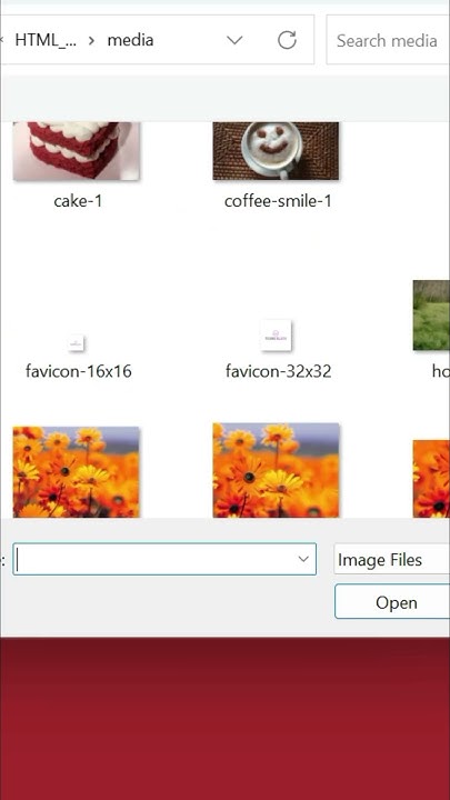 Accept Specific File format in HTML | File upload in html #shorts - YouTube