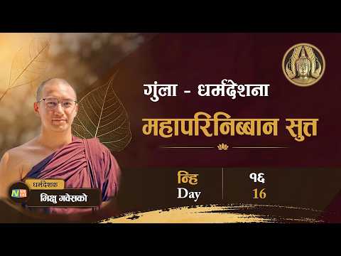 Gunla Dharma Deshana 1146/ Day 16 || Bhikkhu  Gavesako-2 || Manimandap | Gunlatho Punhi (Gunpunhi)