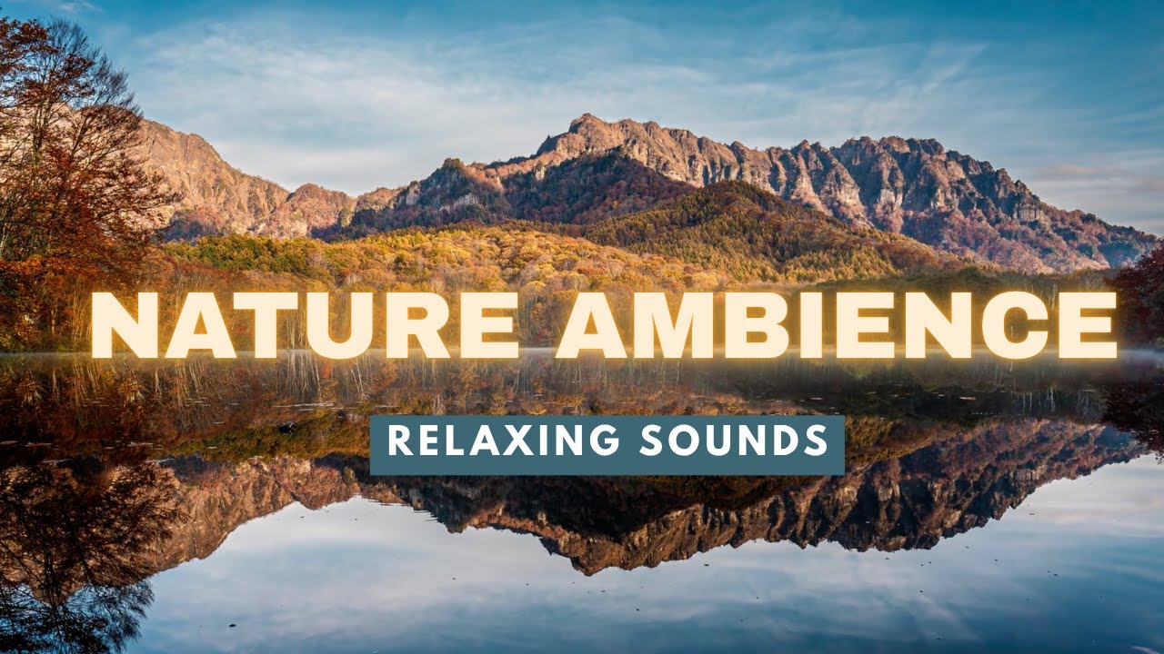 Relaxing Nature Sounds – Peaceful Ambience for Deep Sleep, Focus ...