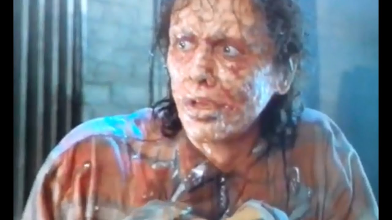 Brundle Mosca - The Fly - A Mosca - YouTube