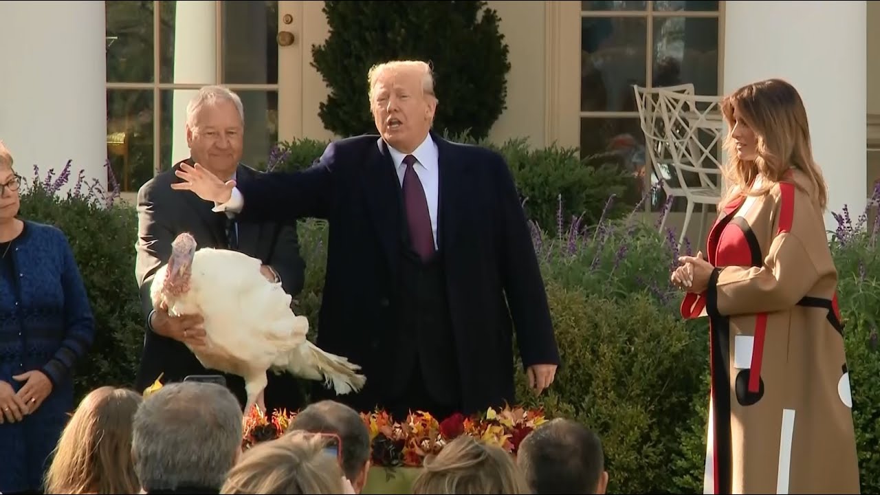 Raw Video: Trump Participates In 2nd White House Turkey Pardon - YouTube