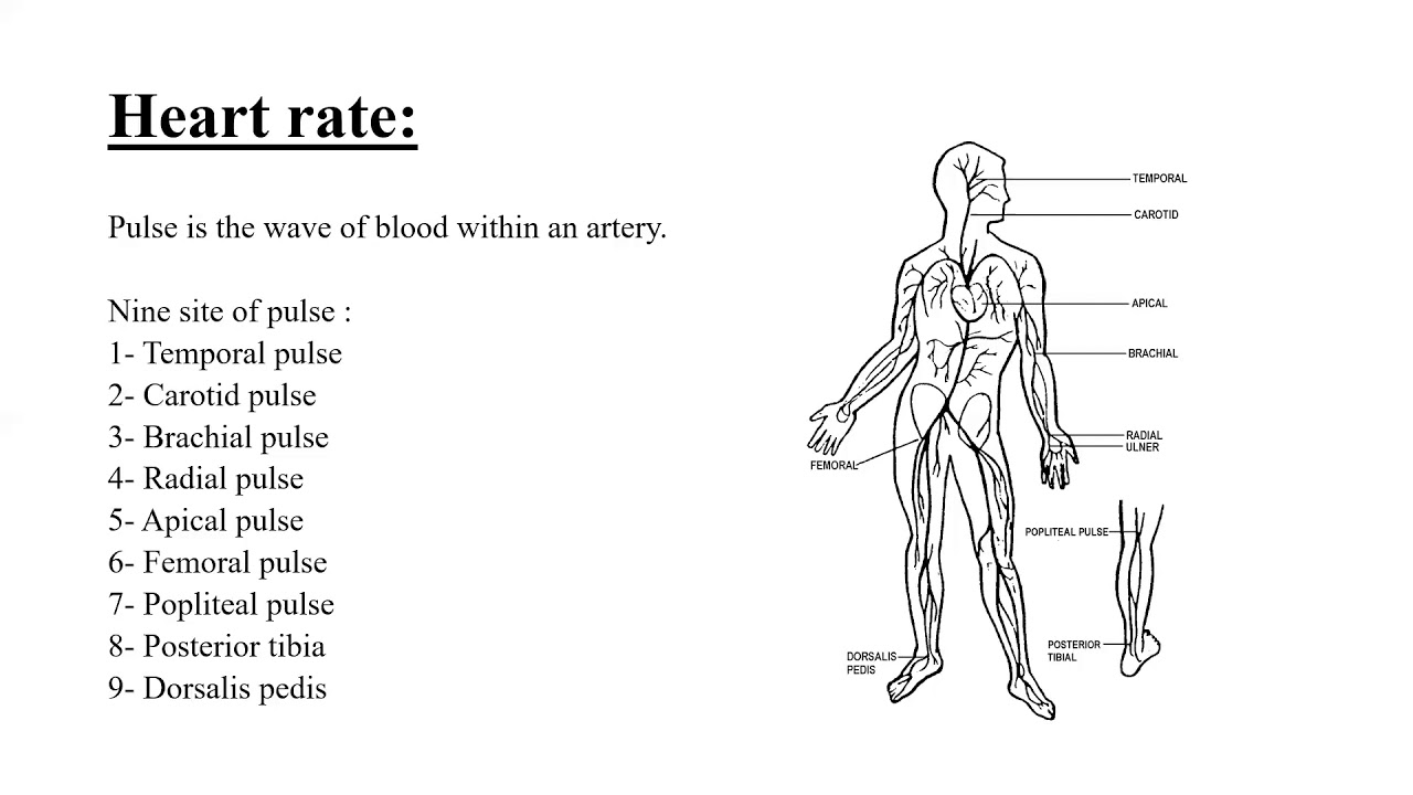 Vital sign - YouTube
