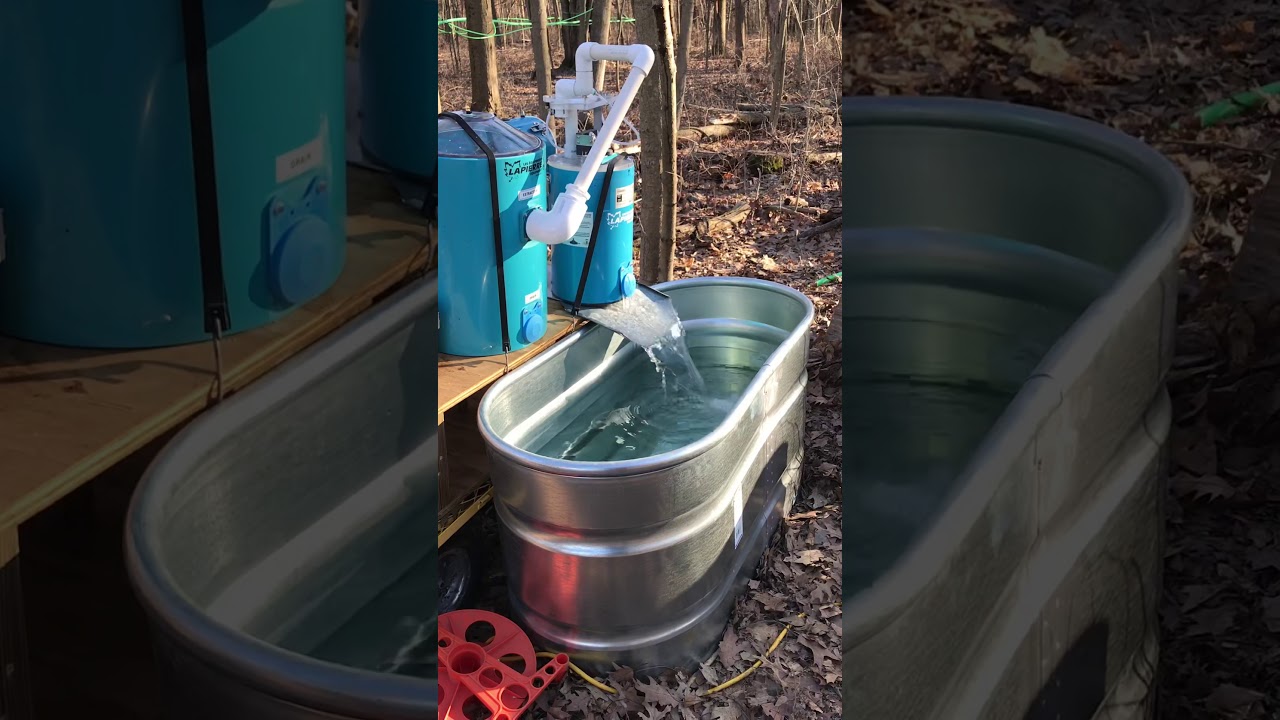 Maple sap extractor at Chellberg Farm - YouTube