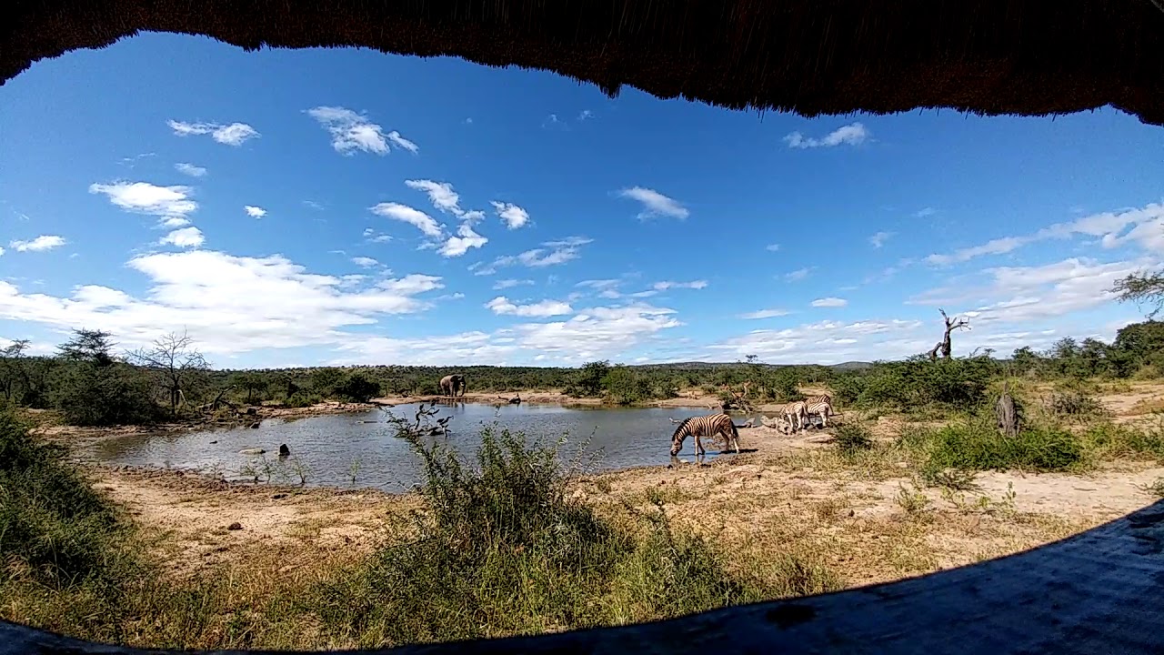 Mphafa Hide Hluhluwe Game Reserve - YouTube