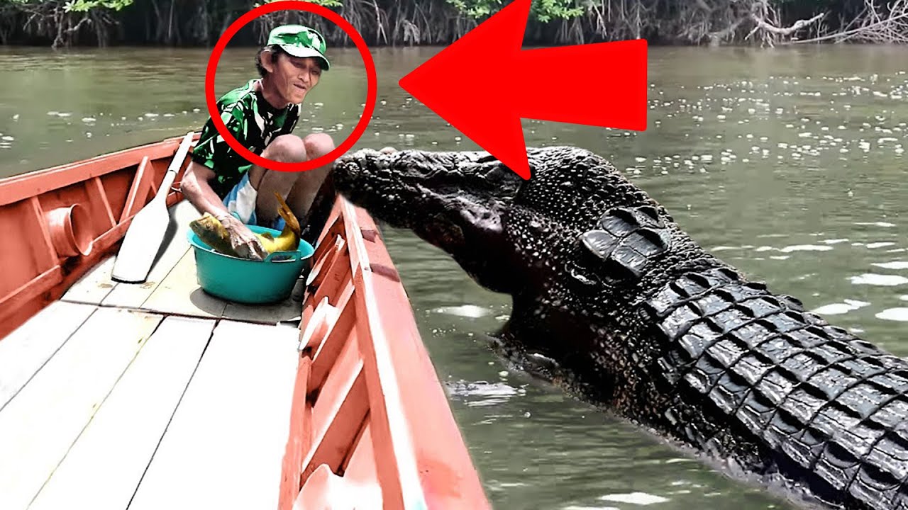 Heartwarming Animal Reunions That Will Melt Your Heart | Blind truth ...