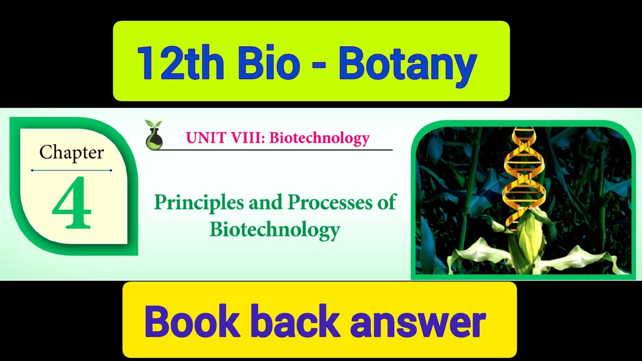 12th Bio botany chapter 4 Principles and Processes of Biotechnology ...