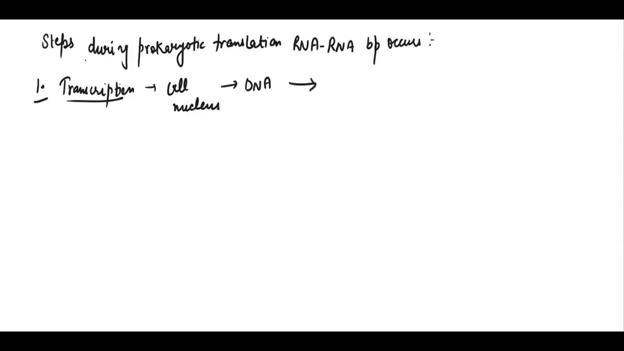 Complementary base-pairing in important processes involving DNA and RNA ...