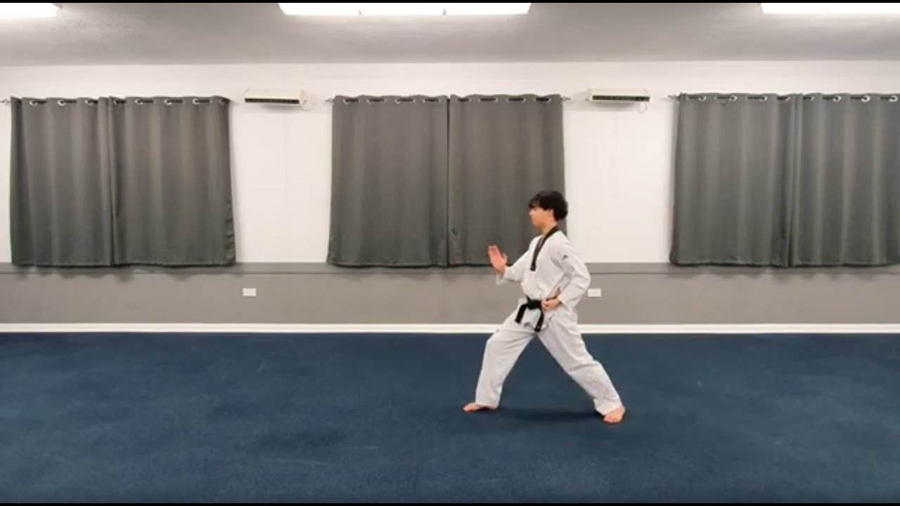 3rd KUP (Blue-red belt) Basic Hand Techniques & Stances - YouTube