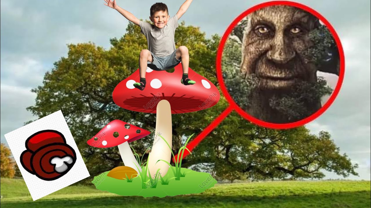 The Curse of the Wise Tree สุดเก - YouTube