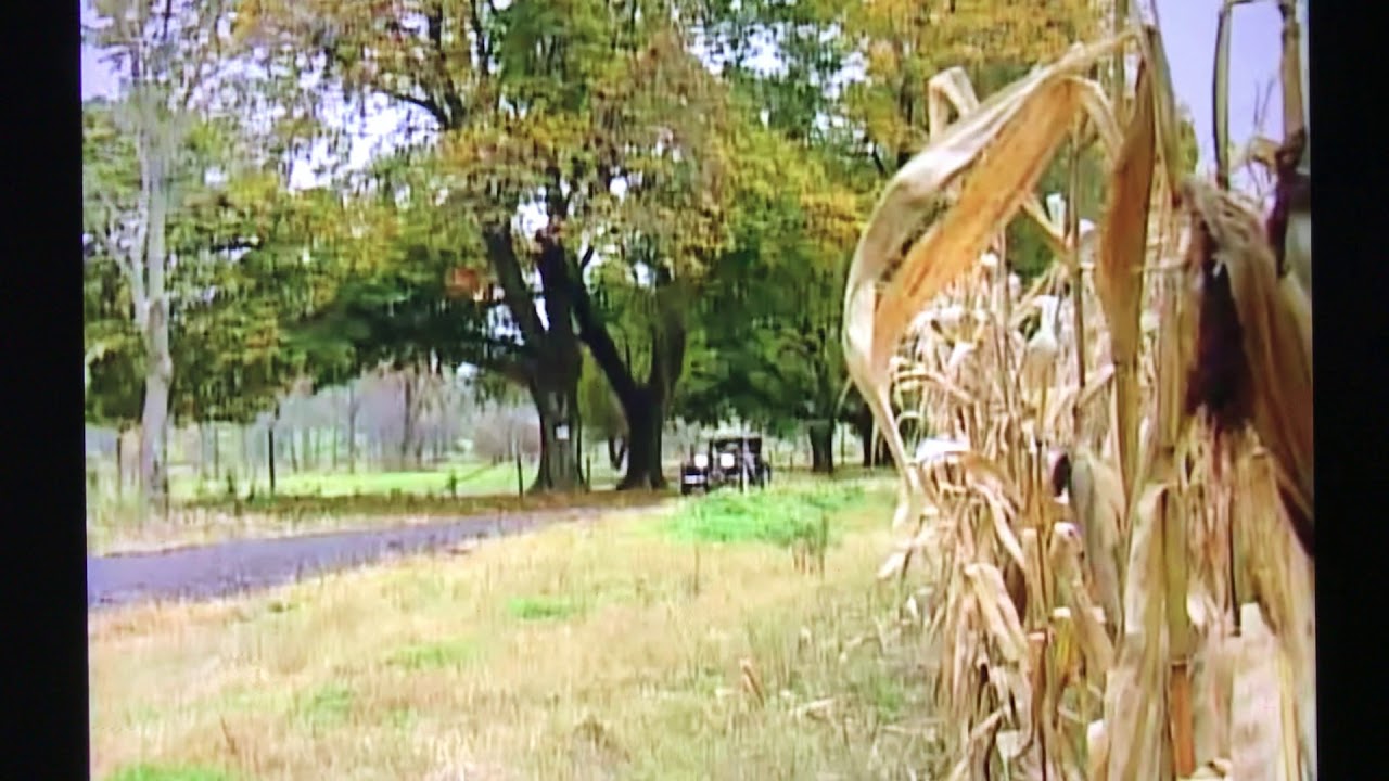 Cliffside Railroad Co. consolidation #40 runby with the car at none ...