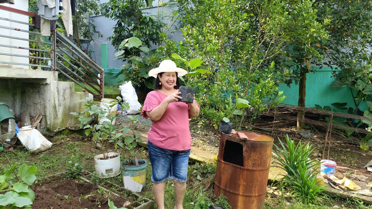 Tara magtanim ng gulay na masustansya by Teacher Espie - YouTube