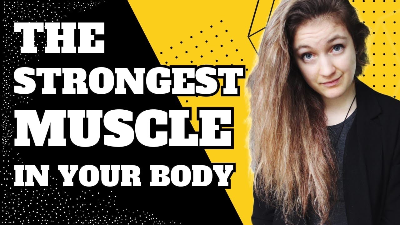 What's Up With This Weird Muscle? - YouTube