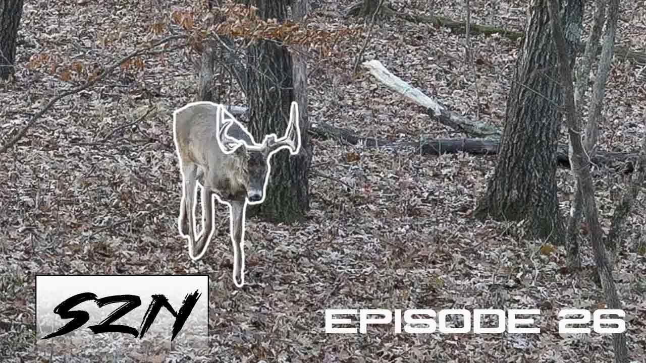 HUNTING PUBLIC in IOWA | STUD BUCK AT 5 YDS!! | BOWHUNTING Big Ridges ...