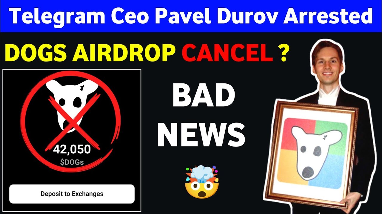 Telegram CEO Arrested | No dogs airdrop | Dogs airdrop deposit | Dogs ...