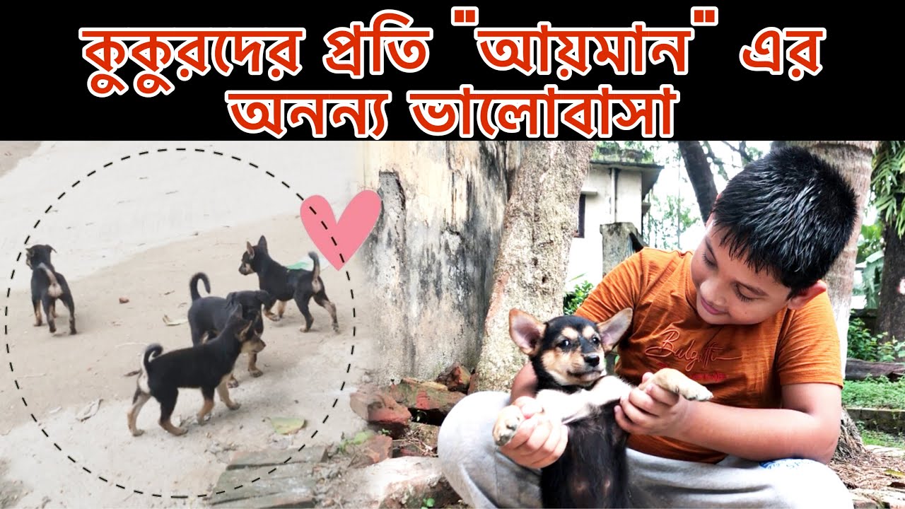 কুকুরদের প্রতি "আয়মান" এর অনন্য ভালোবাসা || Vlog No 04 || Dogs Lover ...