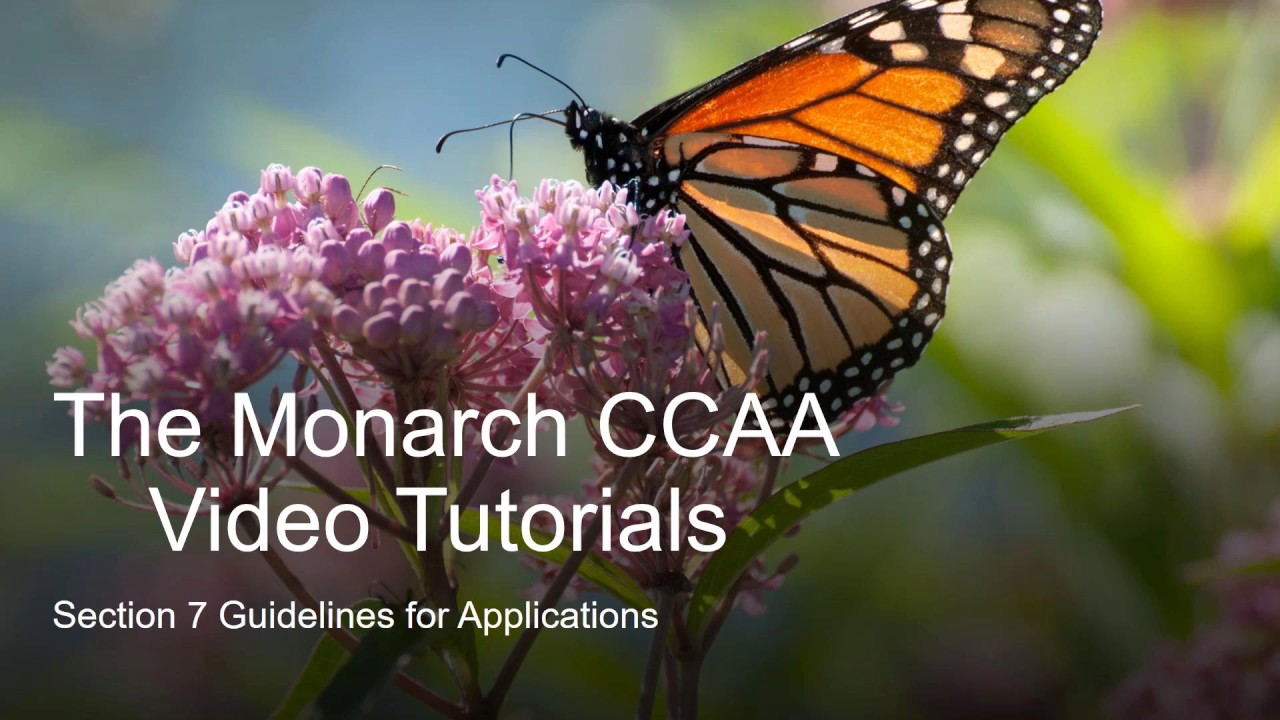 Section 7 Documentation for Monarch CCAA Application- June 18, 2020 ...