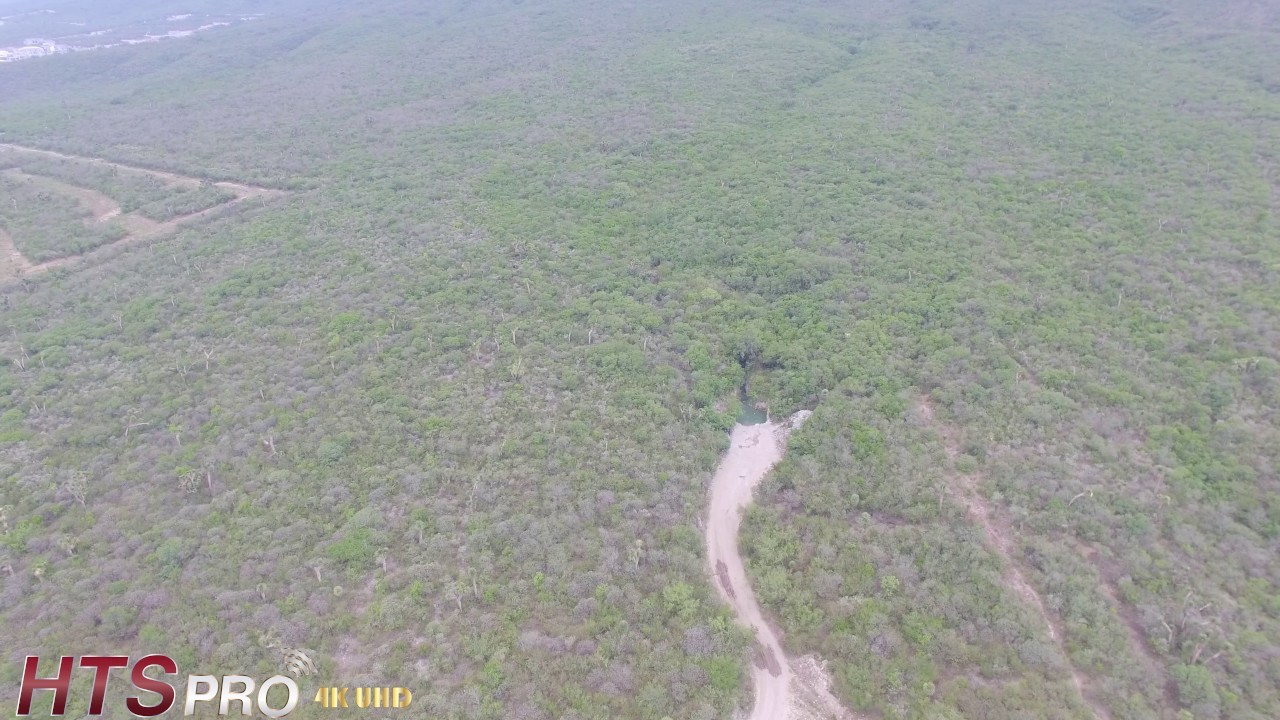 Ultima torre de guardabosques - YouTube