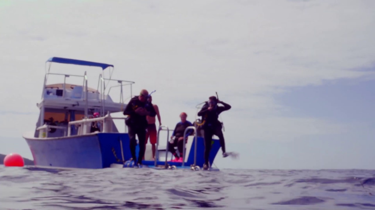 John and Muna's Synchronized Giant Stride Entry - YouTube