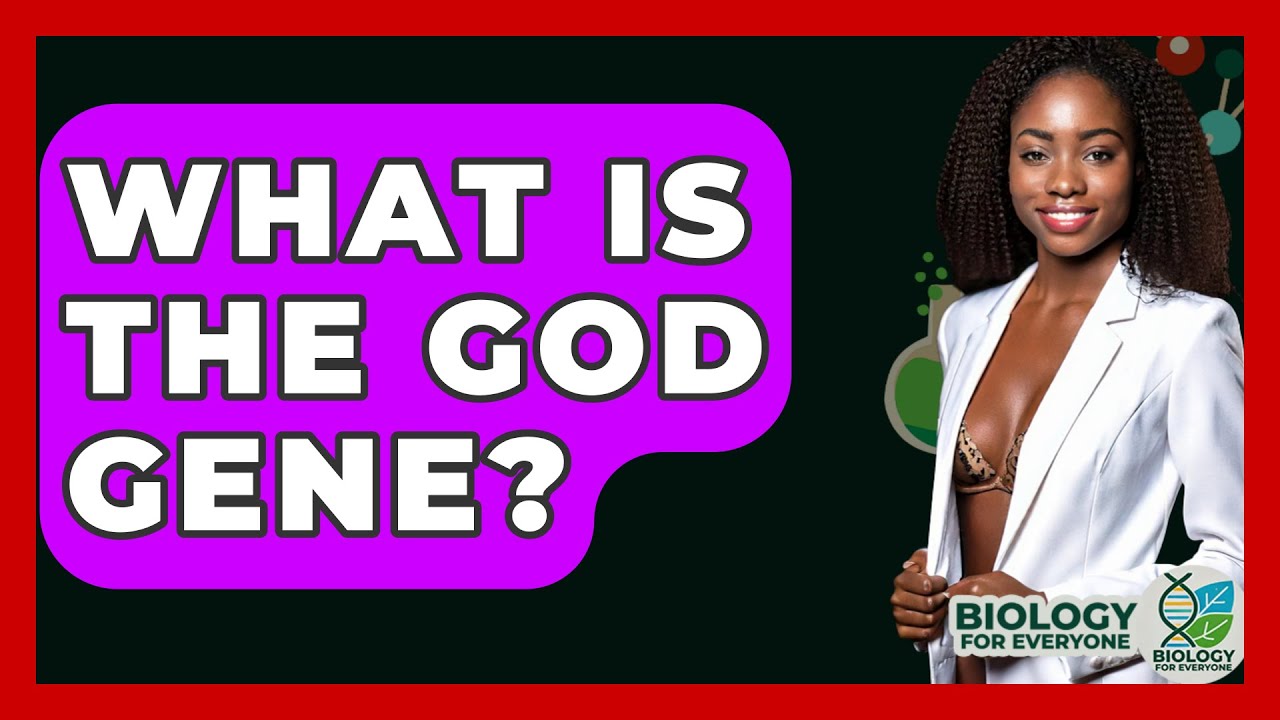 What Is The God Gene? - Biology For Everyone - YouTube