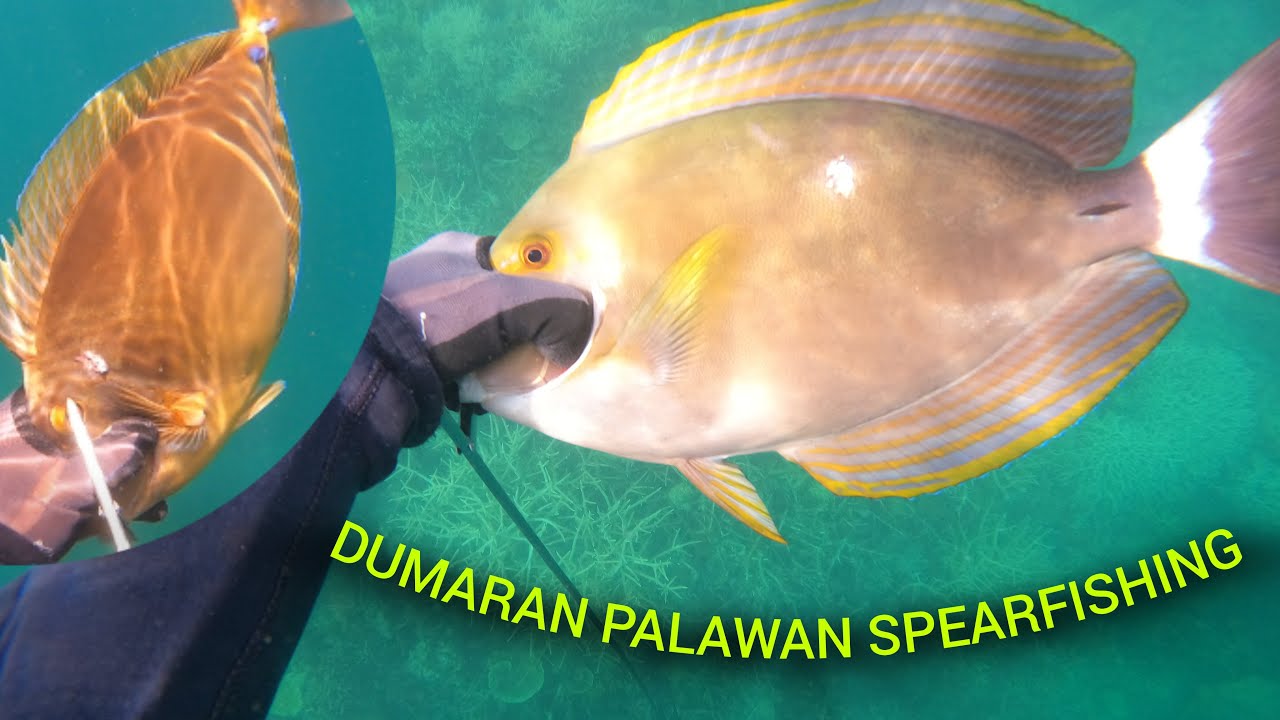 Fish hunting🇵🇭 Tyaga sa Malabong Dagat - YouTube