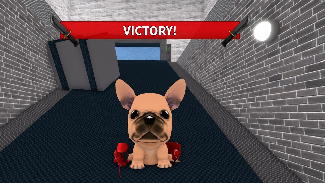 I PLAYED MM2 AS A DOG (Murder Mystery 2) - YouTube