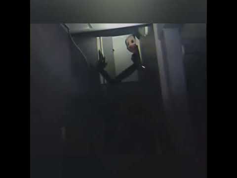 Vita Carnis: Mimic (goofy) #analoghorror #horror