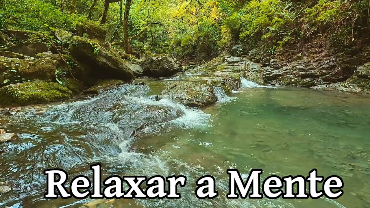 Relaxar a Mente, som da Natureza para Relaxar e Meditar - YouTube