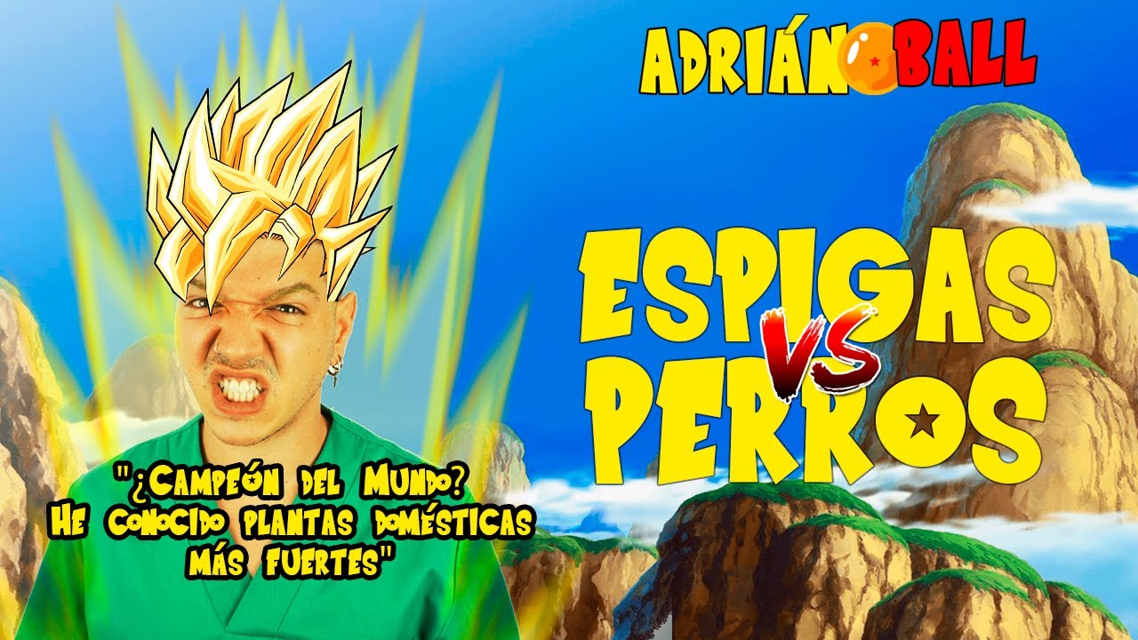 LAS ESPIGAS EN PERROS - Un gran peligro - ¿Qué hacer?¿Cómo detectarlas ...