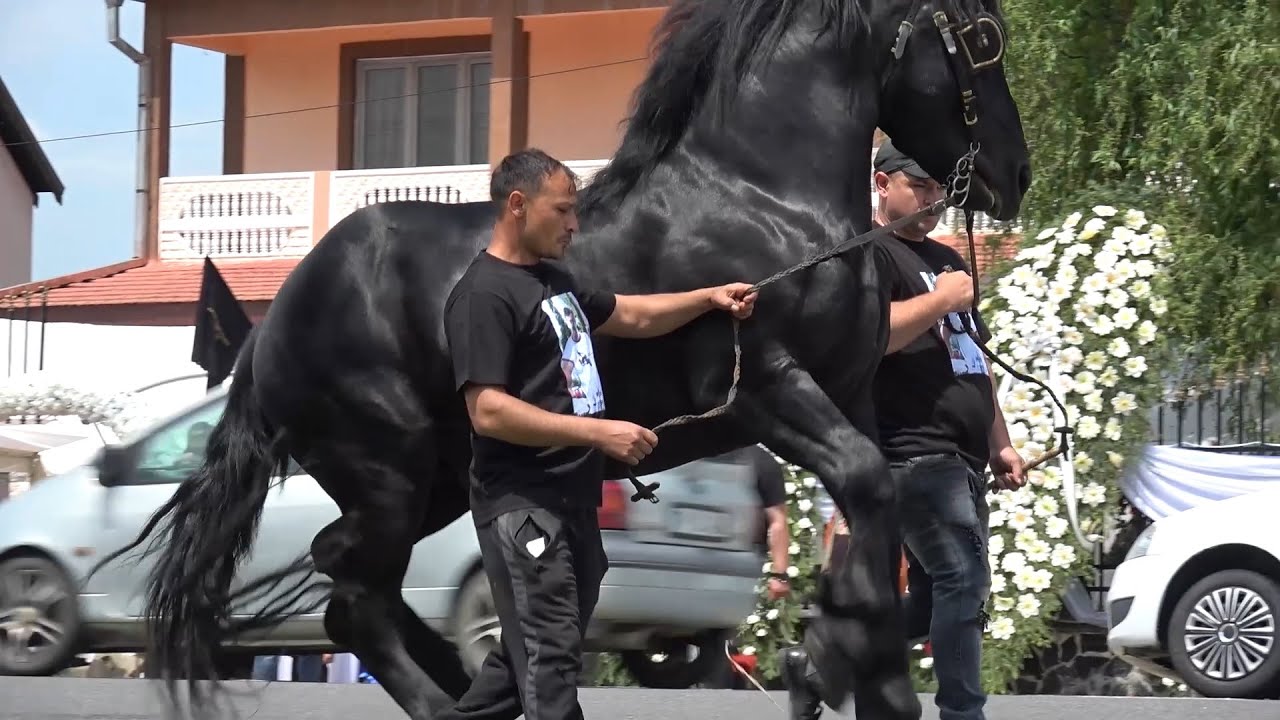 La inmormantarea lui Radu Ioan de la Izvin, Timis - 2023 - YouTube