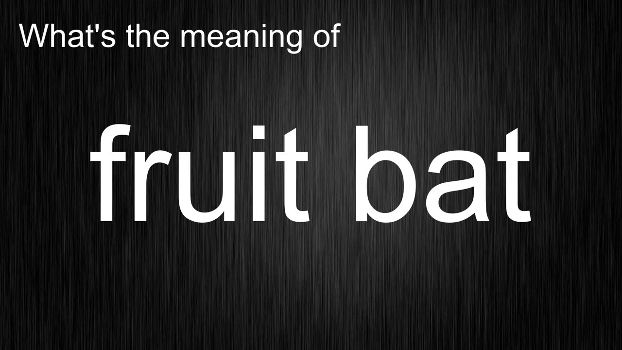 What's the meaning of "fruit bat", How to pronounce fruit bat? - YouTube