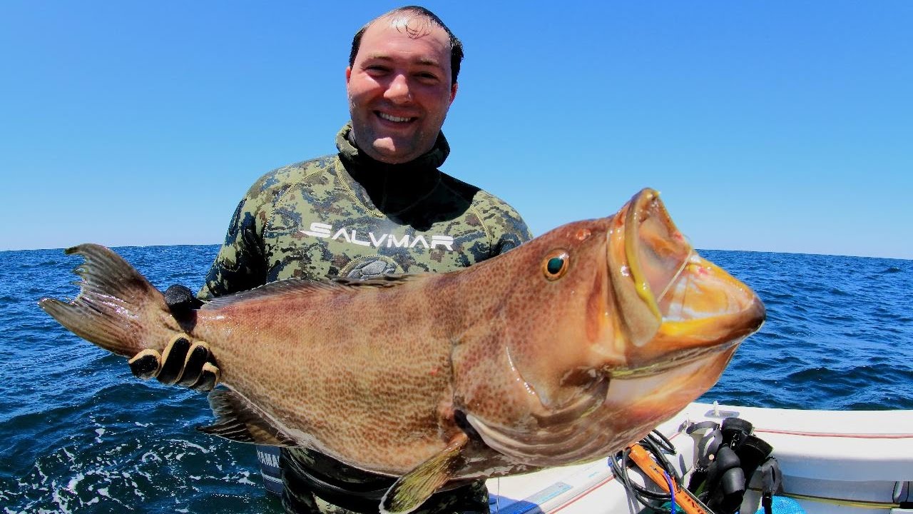 2017April9 Scamp Grouper - African Pompano - Red Snapper with Primofish.com - YouTube