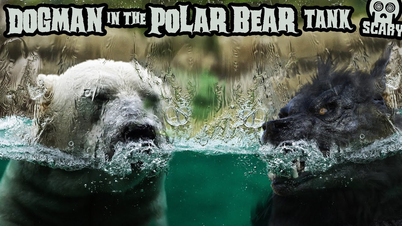 Dogman in the Polar Bear Tank! (All-New Michigan Dogman Campfire Tale ...