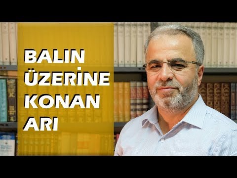 Balın Üzerine Konan Arı Dr. Burhan İşliyen
