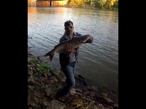 Fishing for Blue catfish on the Meramec river - YouTube