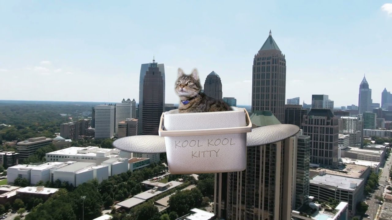 Real Kool Kitty - YouTube