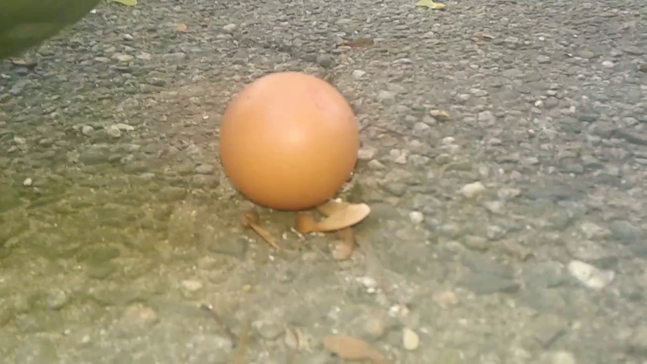 How To Walk On An Egg - YouTube