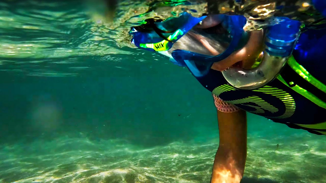 KID LEARNS TO SNORKEL WITH TURTLES! - Steps to get my 4 year old in the ...
