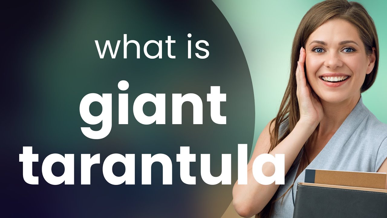 Understanding "Giant Tarantula": An English Learning Journey - YouTube