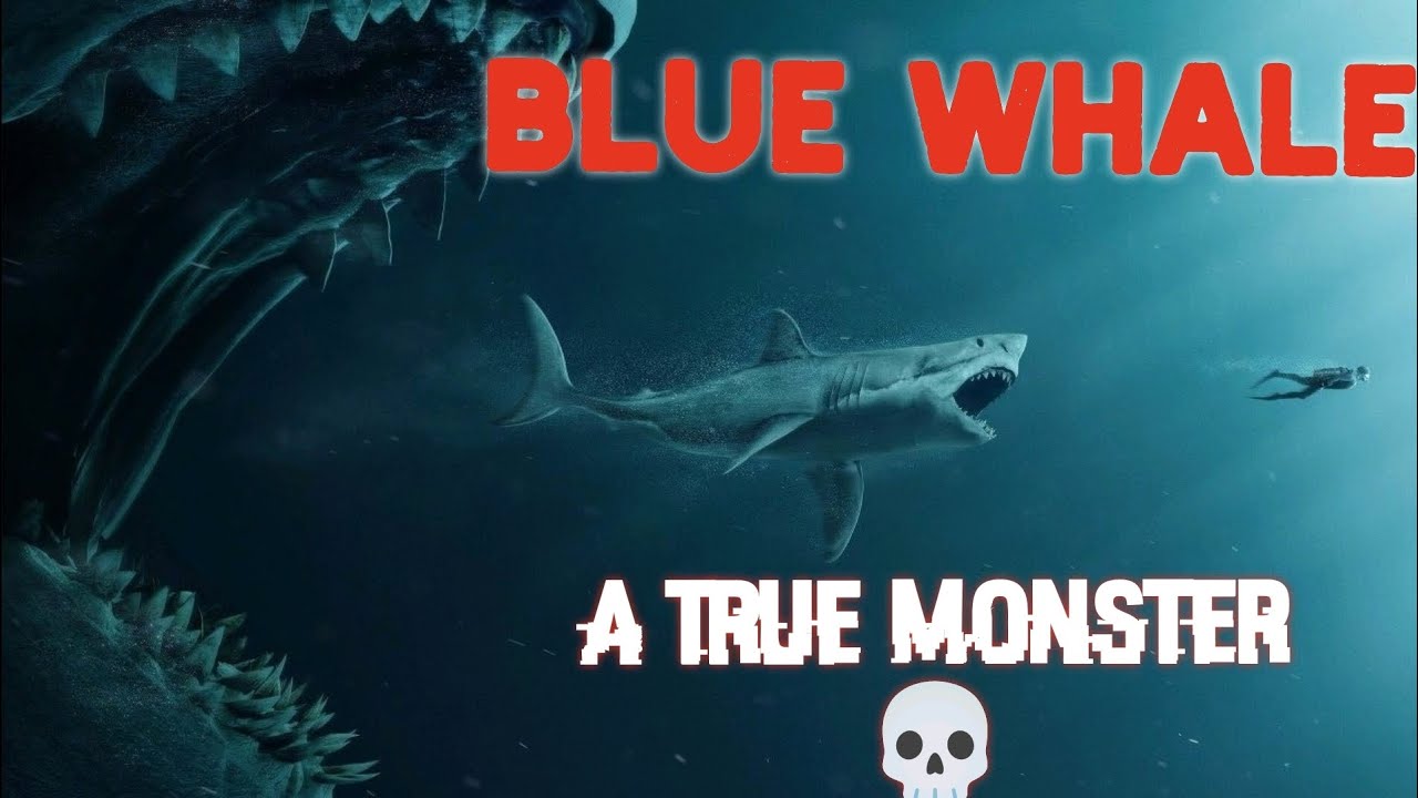 Blue Whale 🐳🐳--A True Monster 💀 - YouTube