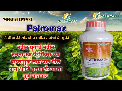 patromax सोयाबीन मधील तणनाशक || farmer feedback #willowood #agriculture ...