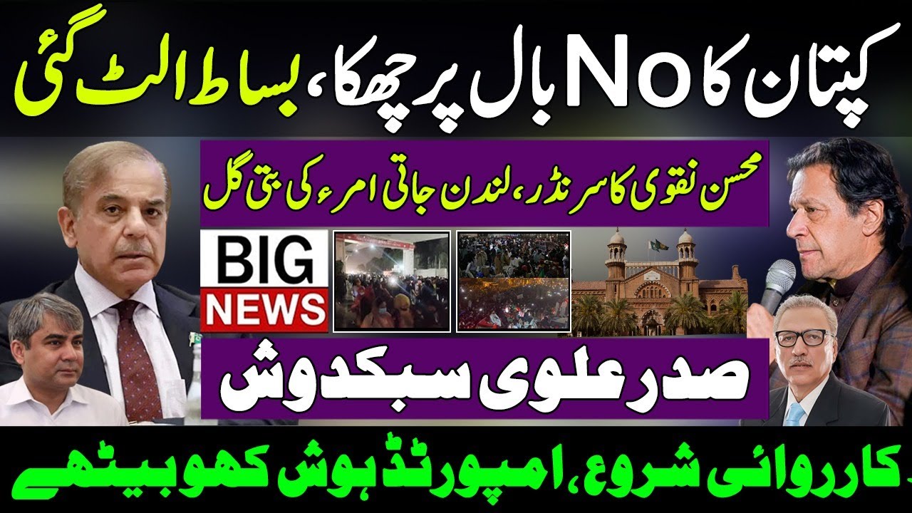 عمران خان نوبال پر چھکا،بساط لپیٹ دی-mohsin nqvi cm punjab-president ...