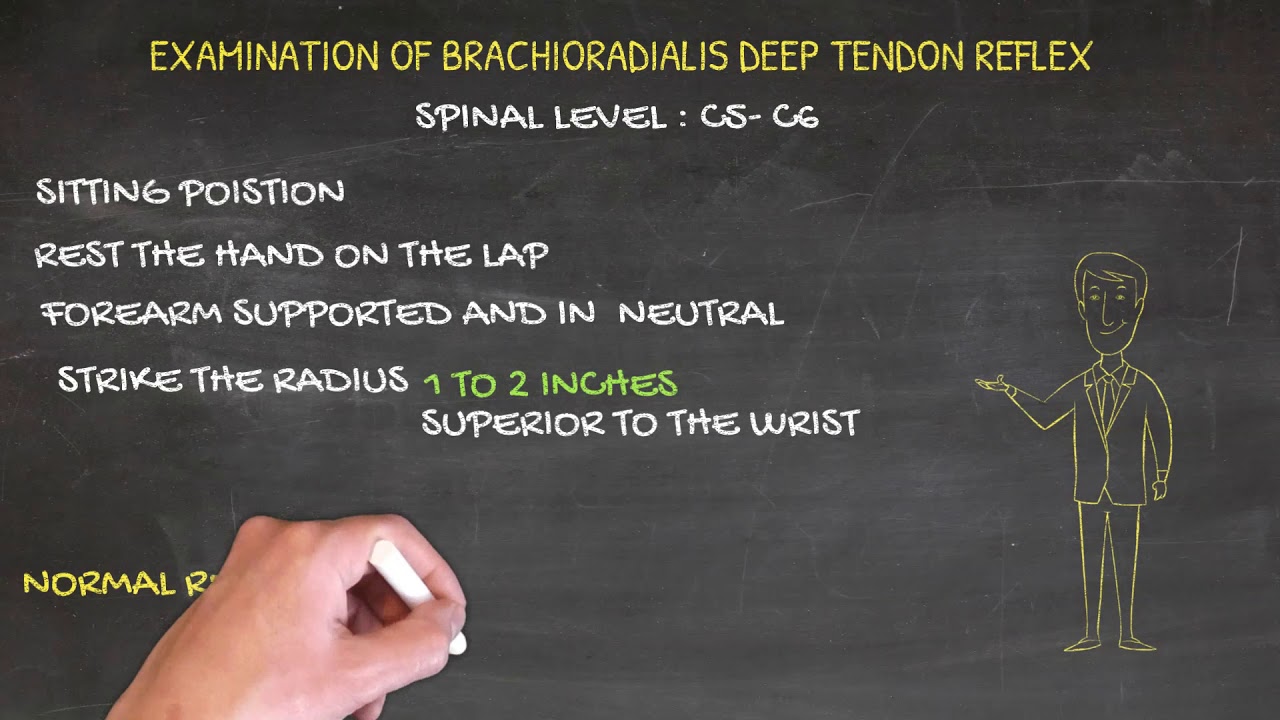 Examination of the Brachioradialis Deep Tendon Reflex - YouTube
