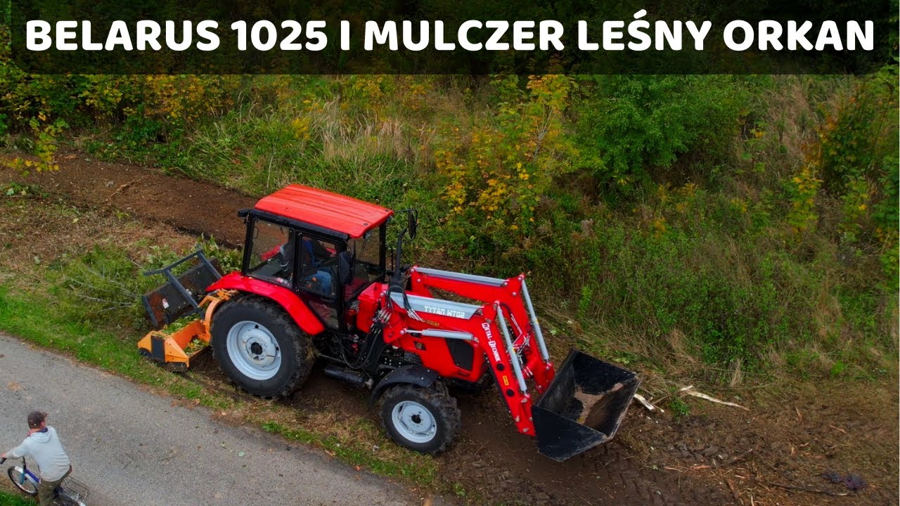 Czyszczenie zaniedbanej działki!! BELARUS 1025.3 x MULCZER LESNY ORKAN ...