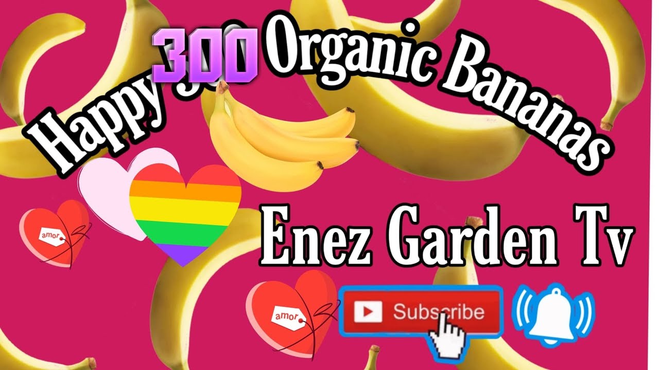 Happy 300 Bananas|Let's Celebrate - YouTube
