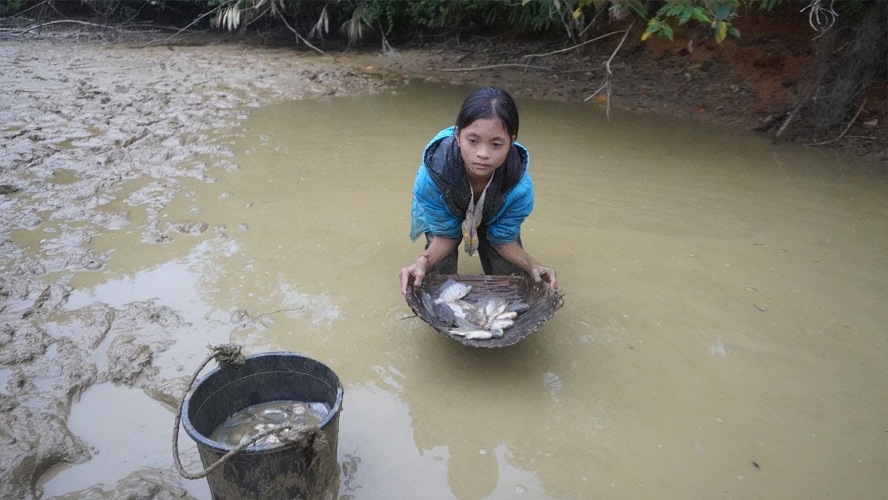 Poor girl. Catch fish go to the village to sell, harvesting fish ...
