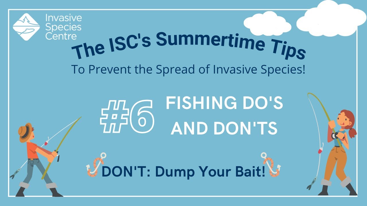 Tip #6: Don't Dump Your Bait - YouTube