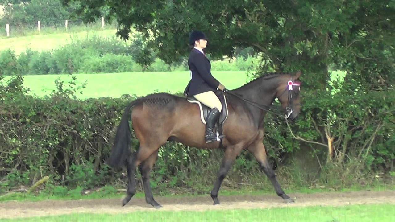 The Brereton Small Hack Class At The Royal International Horse Show ...