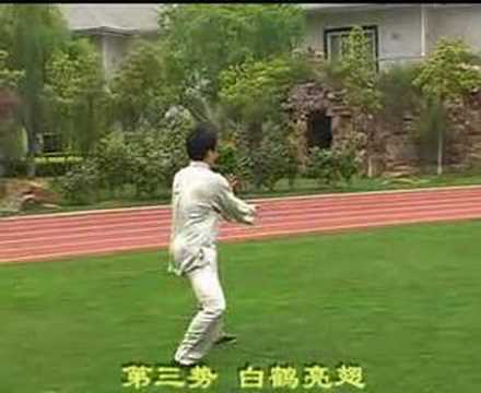 Shifu Ding Jianping performing Chen Style (3 of 6) - YouTube