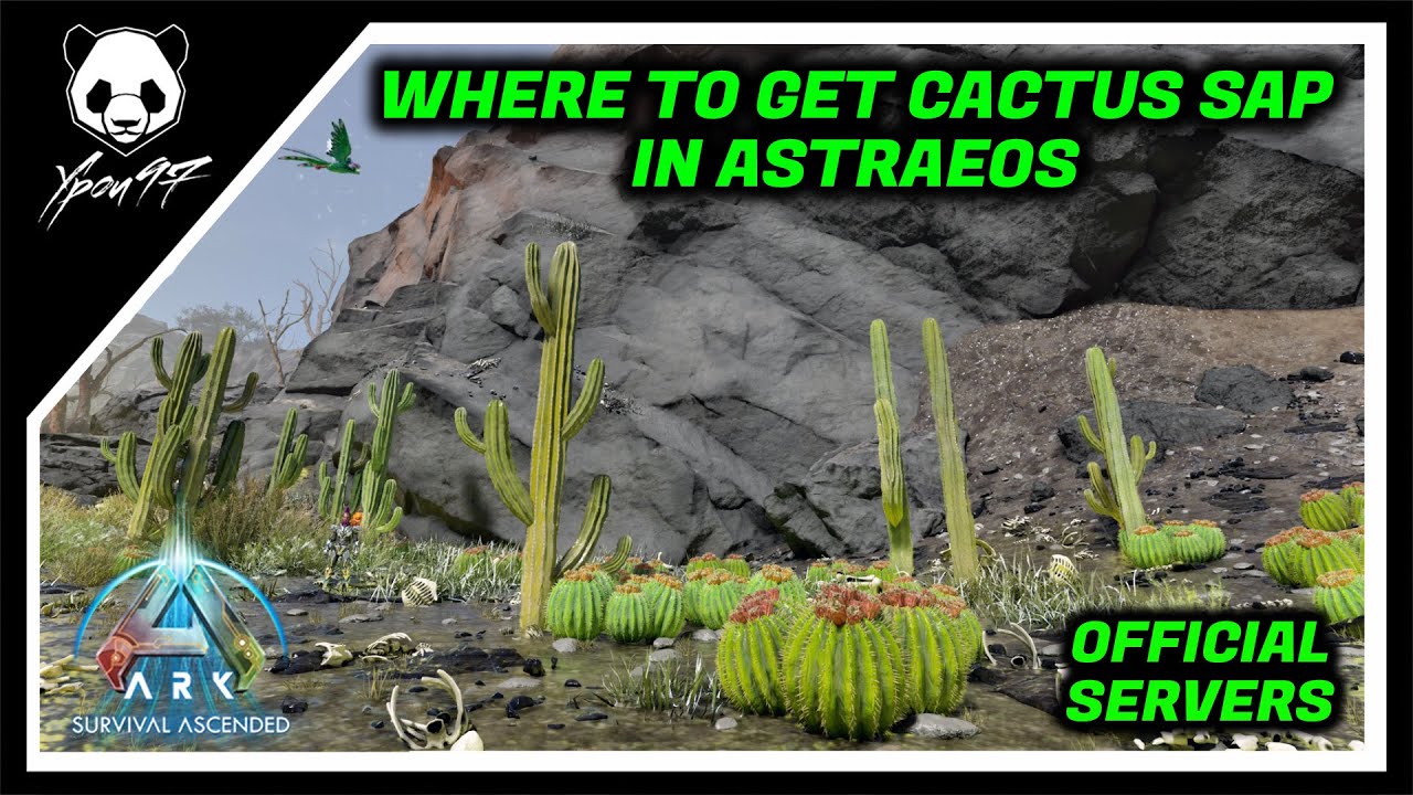 Where To Get Cactus Sap In Astraeos | ARK: Survival Ascended - YouTube
