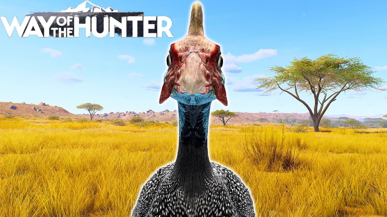 Rare furs, five stars, and goofy moments compilation | Way of the ...